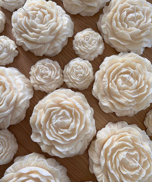 LaMecha – LamechaMx